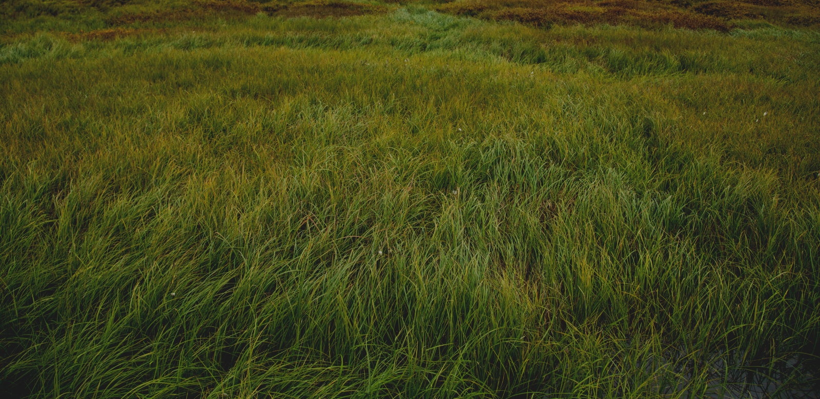 Gas - Arctic Slope Regional Corporation